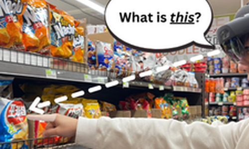 Makeability Lab Projects